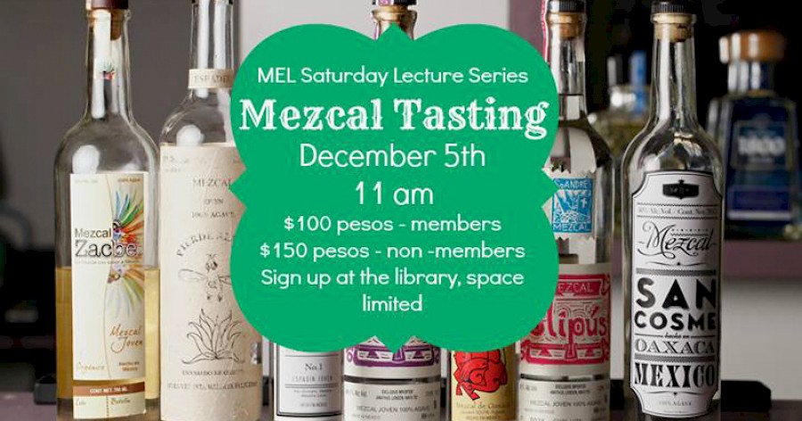 Mezcal Tasting | Yucatan Living