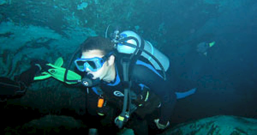 Greg Hokenson: New Opportunities in Yucatan | Yucatan Living